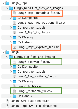 Detection of gene set spatial patterns and expression gradients in CosMx-SMI • spatialGE